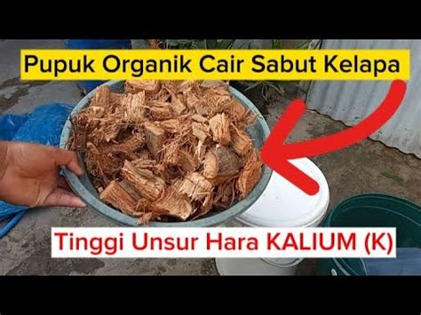 Cara Membuat Pupuk Organik Cair Dari Sabut Kelapa Tinggi Unsur Hara