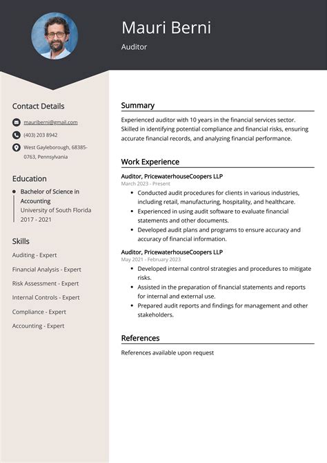 Auditor Cv Example For 2023 Skills And Templates