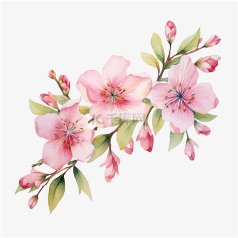 水彩三朵红花花束免扣元素素材图片免费下载 千库网