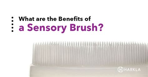 What Are The Benefits Of A Sensory Brush And How To Properly Do It