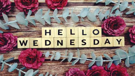बुधवार मोटिवेशनल कोट्स Wednesday Motivational Quotes Newstrack Hindi