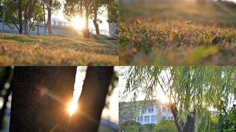 逆光清晨阳光夕阳光影视频素材下载