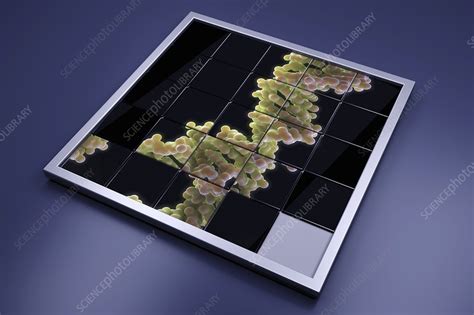 DNA Puzzle Artwork Stock Image C020 5392 Science Photo Library