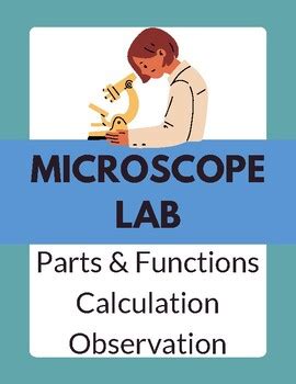 Microscope Lab 6 Activities Parts Functions Calculation