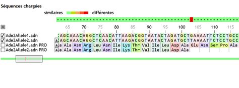 Mutation Ade2 Protéines Innover En Svt