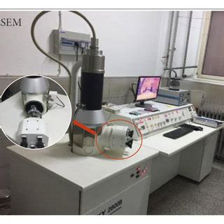 Scanning electron microscope (SEM). | Download Scientific Diagram