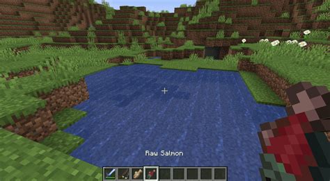 Minecraft Salmon