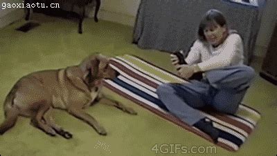 极品搞笑 搞笑图片 gif动态图片 会动的搞笑图片