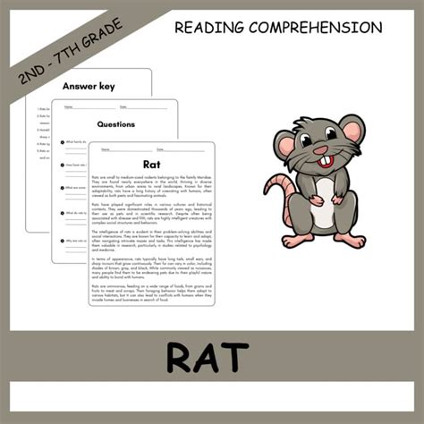 Rat Reading Comprehension Passages And Questions Worksheets Tpt
