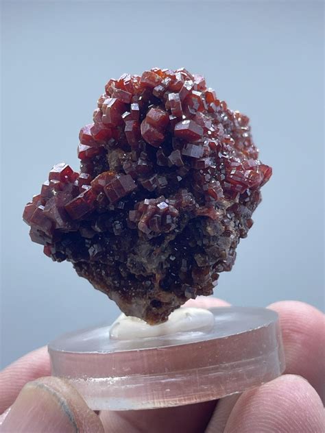 Vanadinite Cluster On Matrix Deep Red Crystals Authentic Moroccan