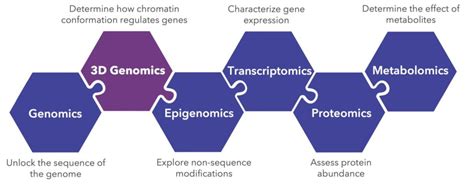 How 3d Genomics Can Strengthen Your Multi Omics Approach To Scientific