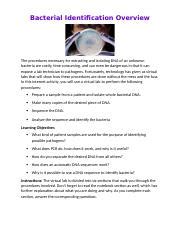 Bacterial Identification Overview 2 Bacterial Identification Overview The Procedures Necessary