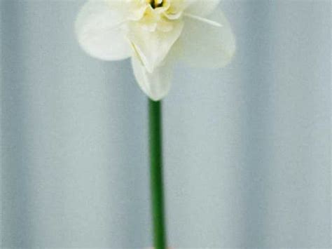 spring boot health checks for smooth and efficient application
