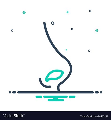 Nose Royalty Free Vector Image Vectorstock