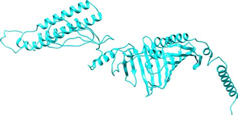 3 D Structure Of The Vaccine Construct Download Scientific Diagram