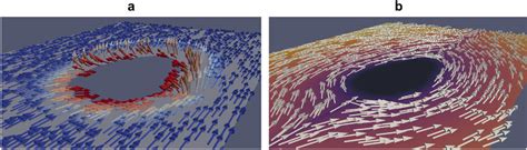 Example Of Reconstructed Fibre Orientation Around Knots Based On