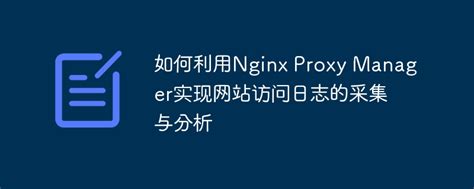 How To Use Nginx Proxy Manager To Collect And Analyze Website Access