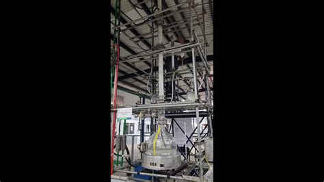 Miriam Navarrete Procopio Posted On Linkedin