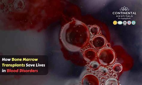 Safe Sex Practices Everyone Should Follow