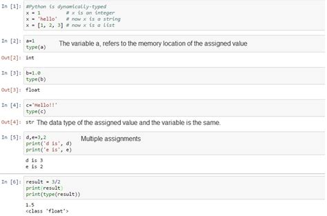 Datascience With Pythonrsas Basic Python Data Types And Data