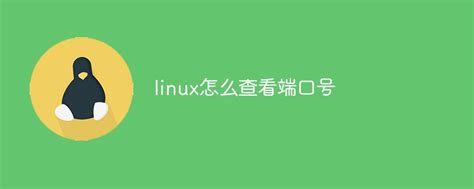Linux怎么查看端口号 美云