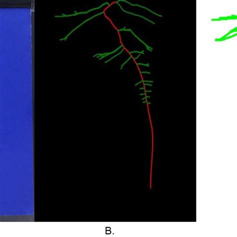 Output Segmentation Results Analysis A Input Image B Ground Truth Download Scientific