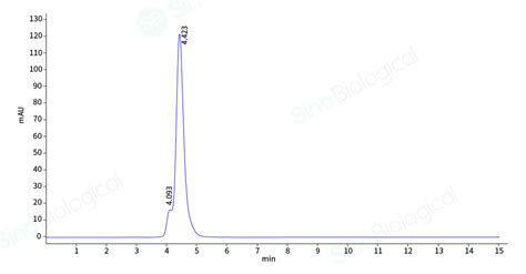 Recombinant Human Sez6 Protein 13436 H08h Sino Biological