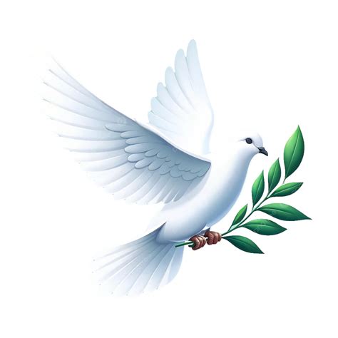 Dove Olive Branch Peace Illustration White Dove Olive Branch Peace
