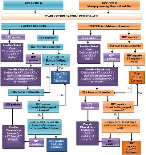Lesson 14 HIV AIDS WikiEducator