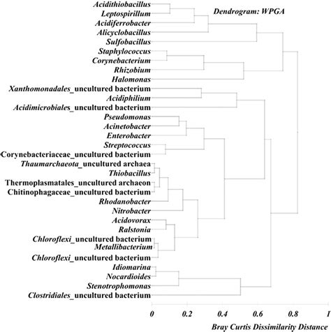 Weighted Pair Average Group Based Hierarchical Clustering With Bray