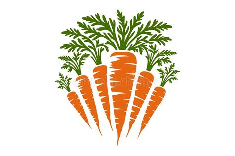 Carrot In Color Stock Illustration Stock Illustration Illustration