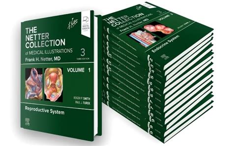 The Netter Collection Of Medical Illustrations Complete Package Netter
