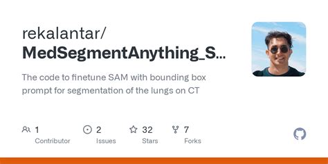 medsegmentanything sam lungct medsegmentanything finetuning ipynb at