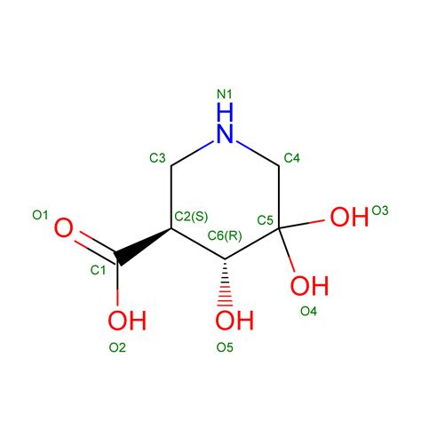 Rcsb Pdb 8ohv Crystal Structure Of Beta Glucuronidase From Acidobacterium Capsulatum In