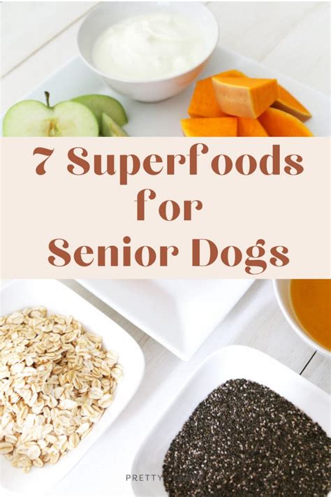7 Superfoods For Senior Dogs Pretty Fluffy