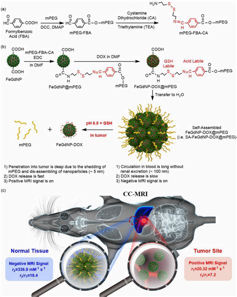 南方医科大学沈折玉教授课题组《nanoscale Horizons》 用于反对比度磁共振成像（cc Mri）和肿瘤特异性化疗的肿瘤微环境双重