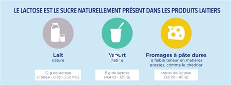 Lintolérance Au Lactose Le Yaourt Améliore La Digestion Yogurt In