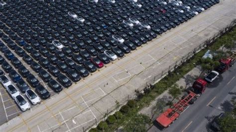 Tesla China Shipments Slumped In December Amid Production Cuts