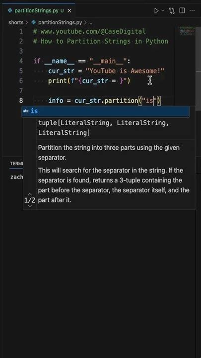 Partition Strings In Python Python Code Programming Youtube