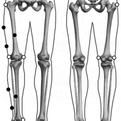 Marker Set Protocol For The Pelvis And Right Lower Limb During Neutral