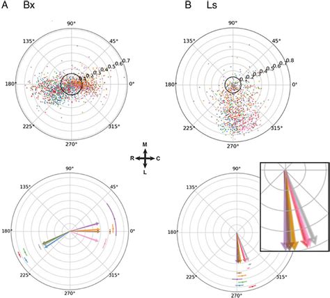 Summary Of Single Trial Spatiotemporal Propagation Directions For The