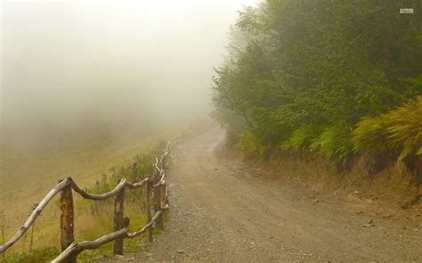 Foggy Forest Iphone Wallpaper Wallpapersafari
