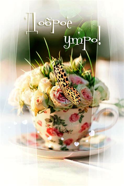 Картинка с добрым утром Доброе утро Картинки  Галерейка