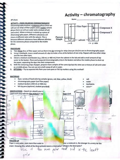 Activity Chromatography Pdf