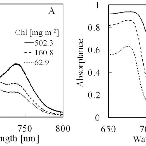 Steady State Chl Fluorescence Emission Spectra And Absorption Spectra Download Scientific