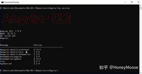 如何安装 Angular Cli 并且检查 Cli 的版本 知乎