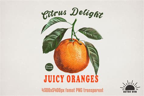 Oranges Vintage Fruit Png Sublimation Graphic By Retro Sun · Creative