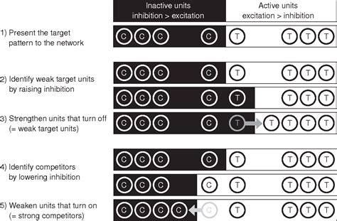 figure 3 from a neural network model of retrieval induced forgetting