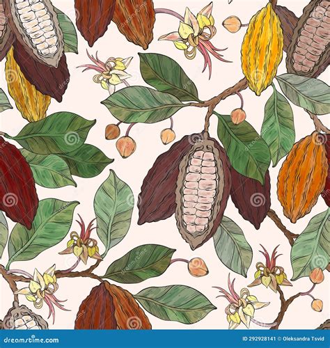 Pattern Of Cocoa Leaves Flowers And Fruits Stock Vector Illustration