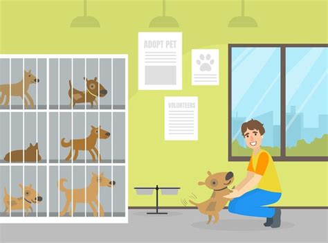 Premium Vector Animal Shelter With Dogs In Cages Male Volunteer Man